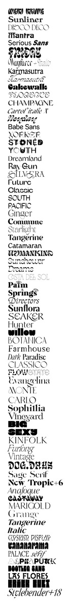 The Everything Bundle - Tropical Type