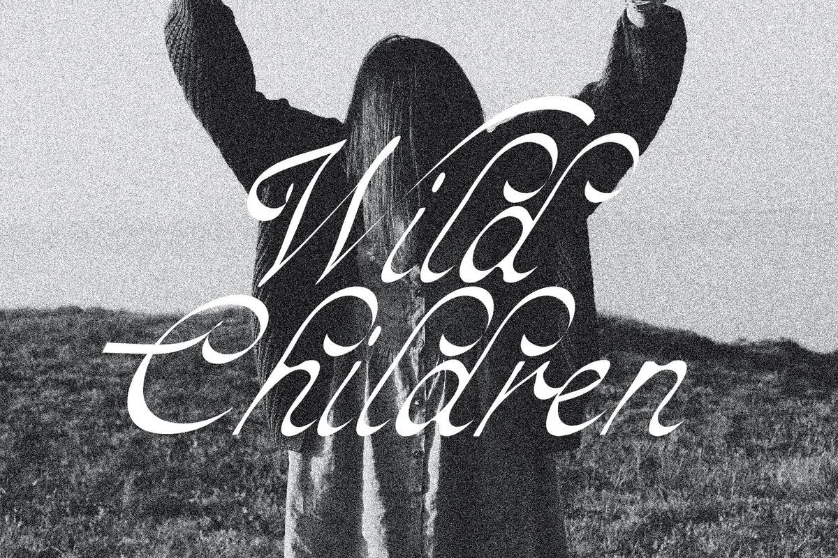 Eclectic Font Collection - Tropical Type