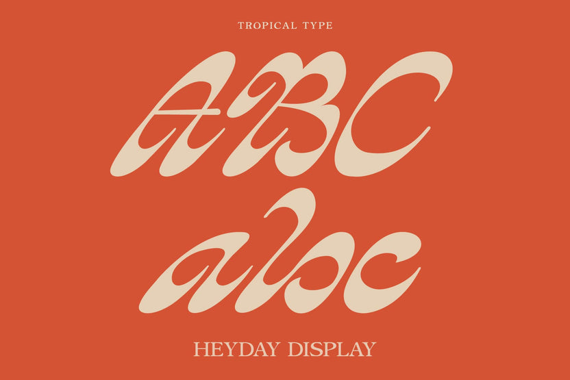 Heyday Display - Tropical Type